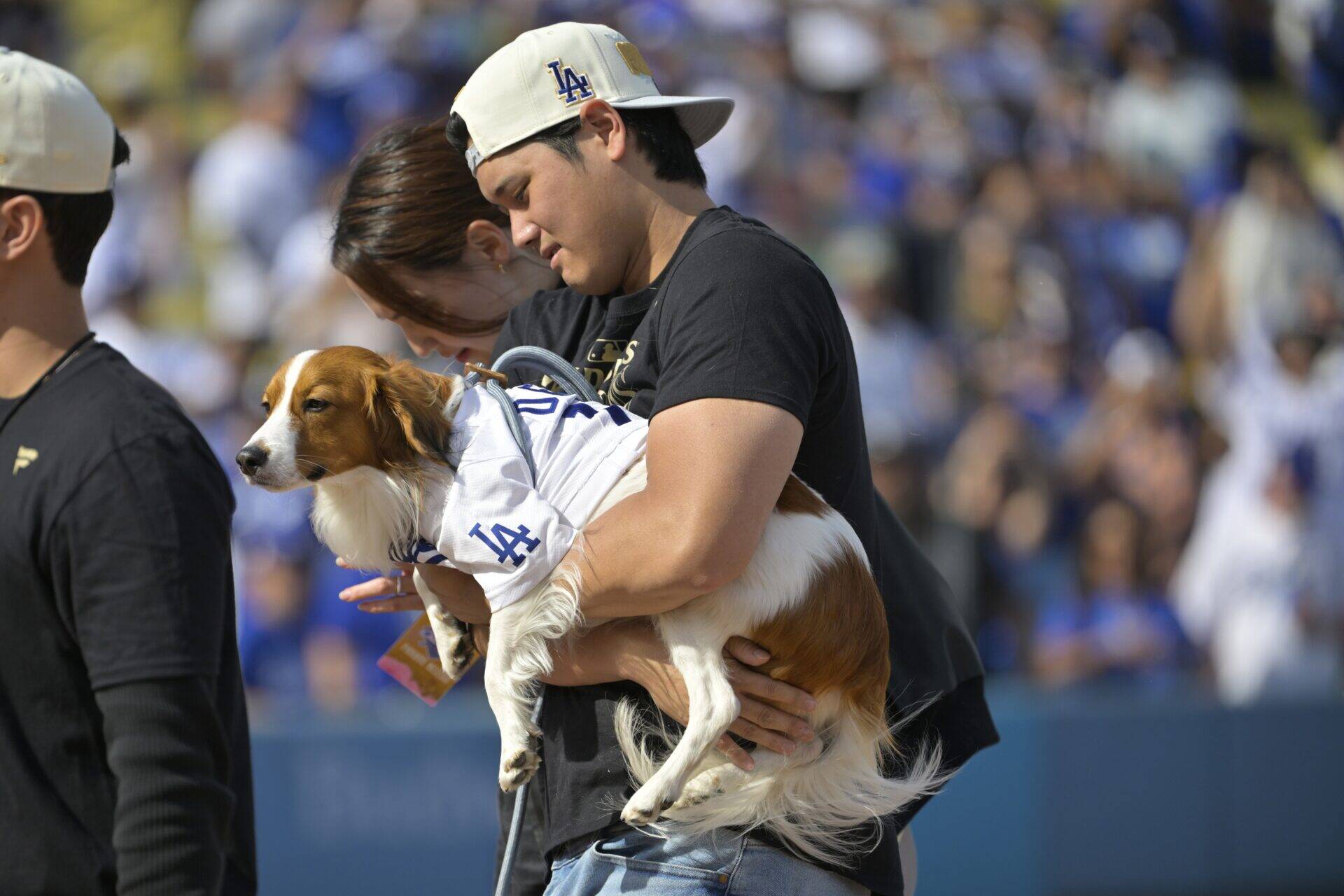 Shohei Ohtani’s Dog Awarded Rare Honor as Star Nabs Award