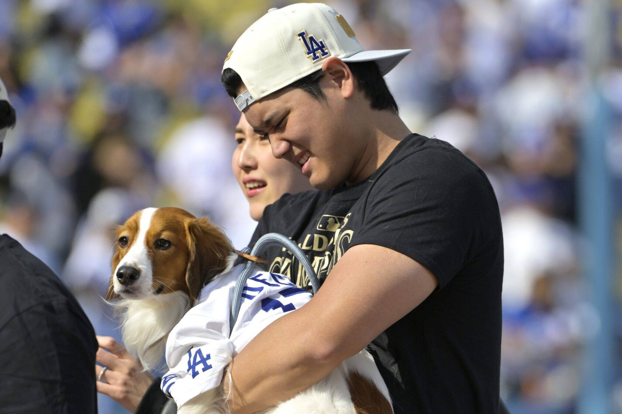 Shohei Ohtani’s Dog Awarded Rare Honor as Star Nabs Award